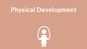 Our Courses
