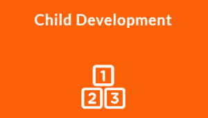 Our Courses